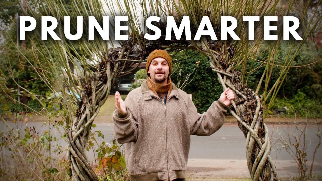 Customize your pruning style: 3 vital questions