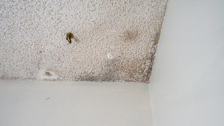 How To Easily Get Rid Of Mold On Popcorn Ceilings And Make Them Look ...