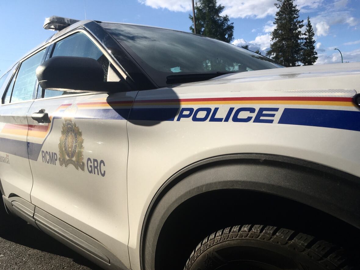 2 dead, 1 seriously injured after crash near Arborg: Manitoba RCMP