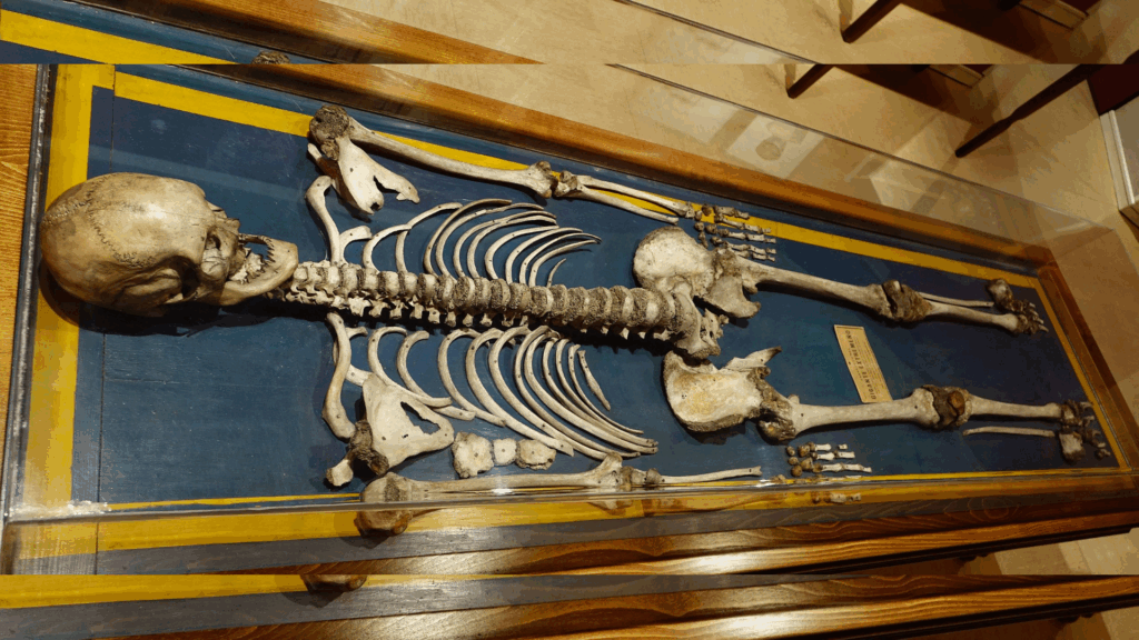 10-Foot-Tall Giant Skeletons Found in Nevada Cave