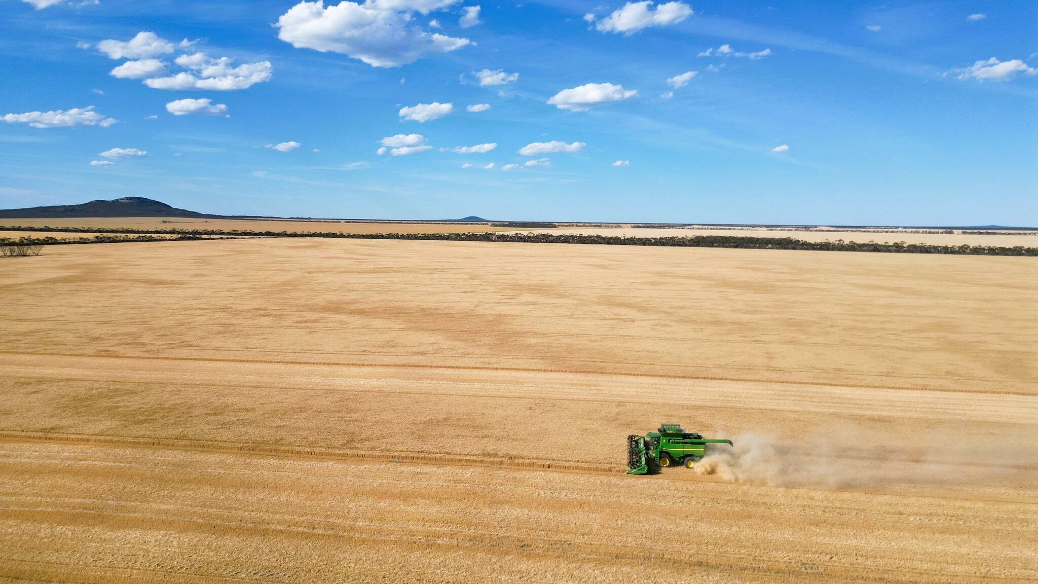 Western Australia starts harvesting what could be a record-breaking ...
