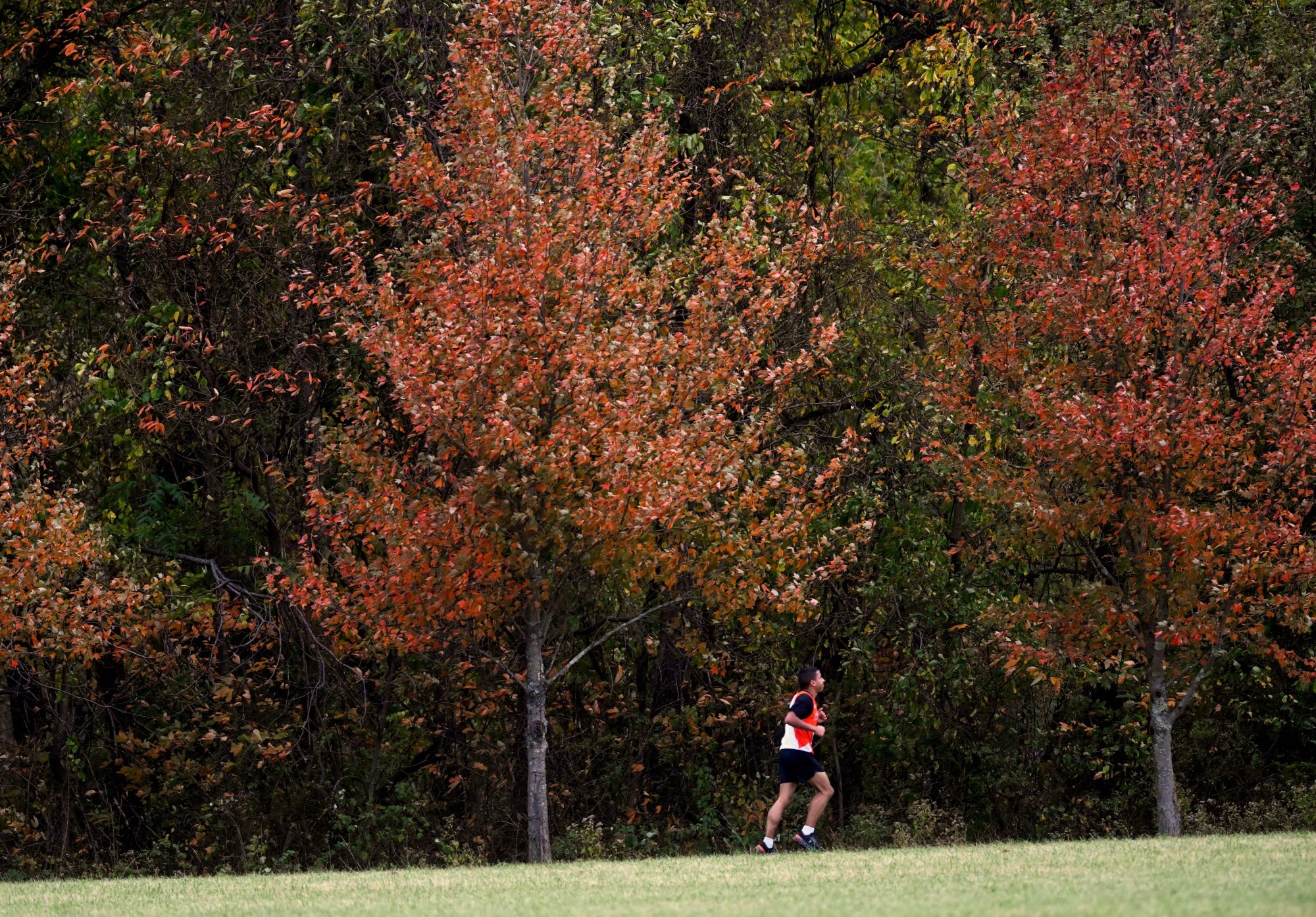 Pa. fall foliage update: Lehigh Valley nears peak fall color. Here’s ...