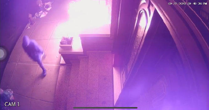 Gambino mobster ‘Joe Brooklyn,’ 6 other wiseguys cop guilty pleas for ...