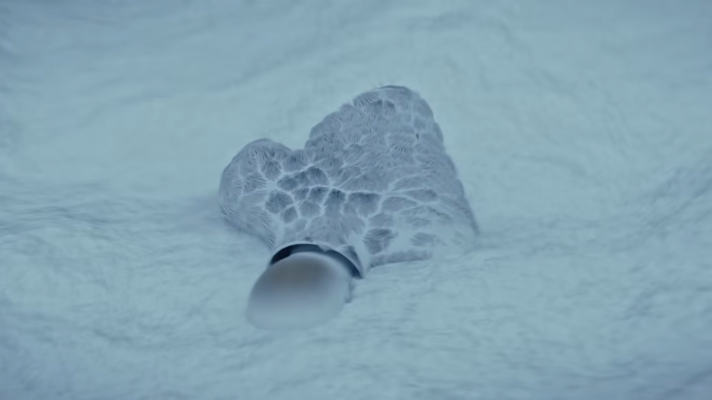 How a Frozen Man From the Alps Exposed Secrets of the Stone Age