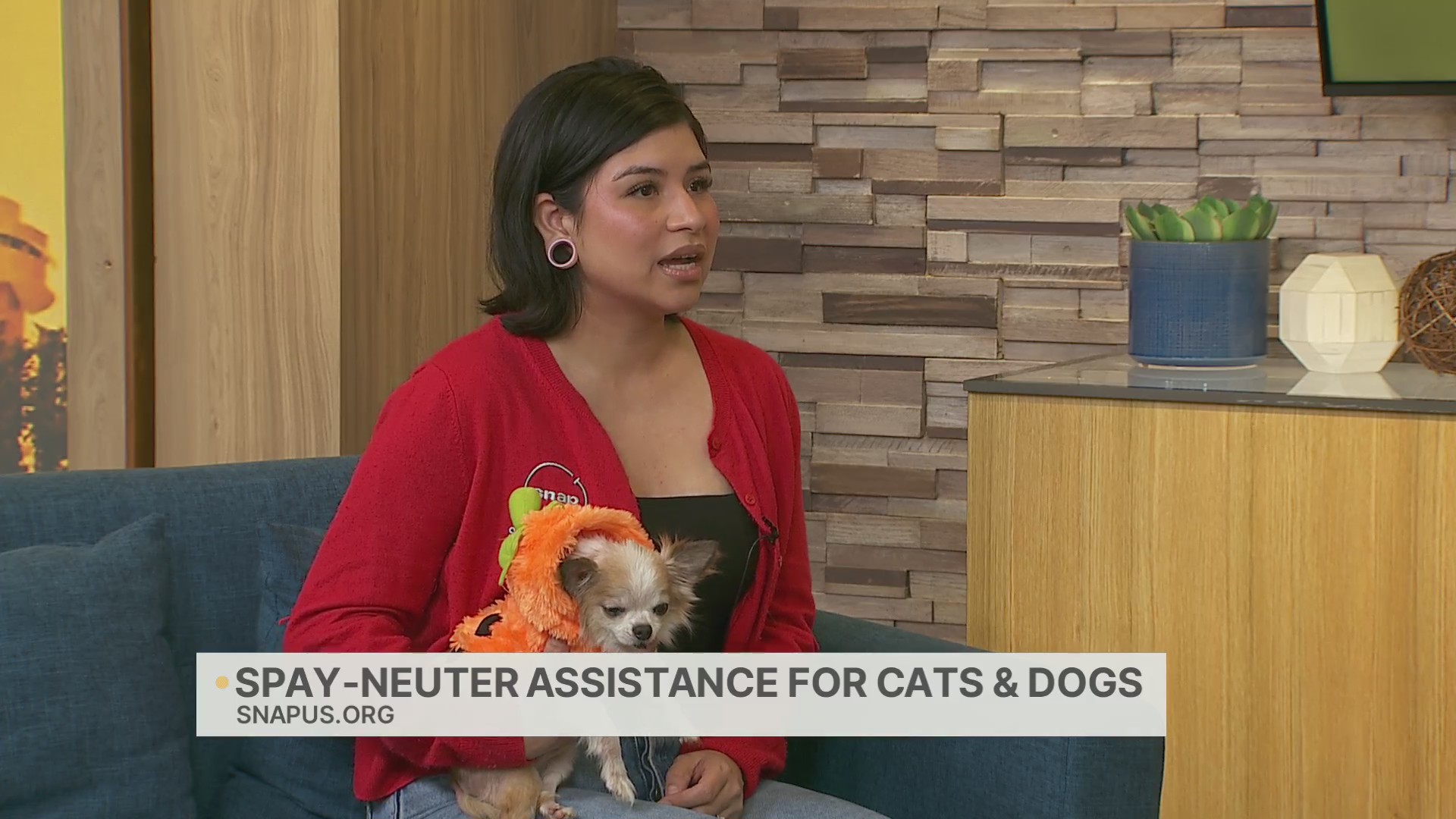 SNAP/ Spay-Neuter Assistance for Cats & Dogs donation drive