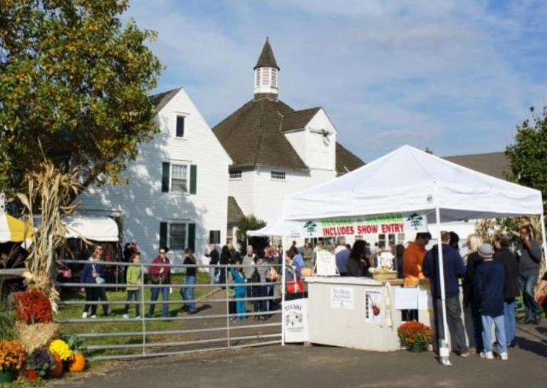 5 Fun Things To Do In Bucks County This Weekend