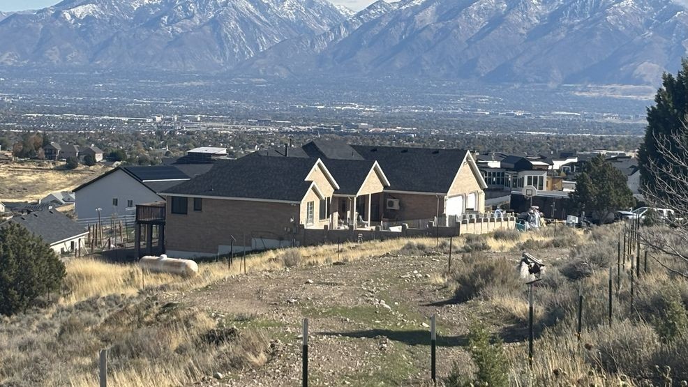 Owner of Utah-based dog rescue accused of several counts of animal cruelty