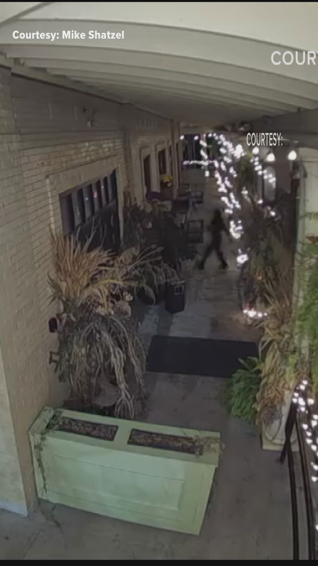 Vandals cause damage at The Terrace at Delaware Park