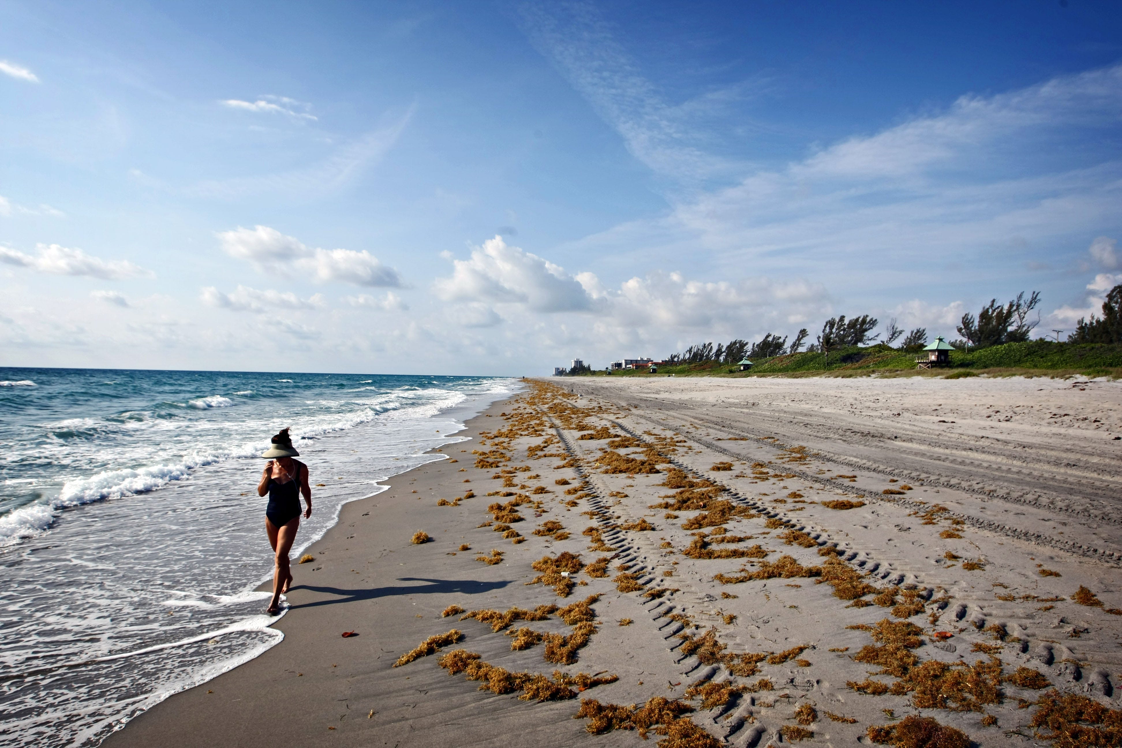 Boca's Spanish River Park to get $2.68M fiber-optic easement linking U ...