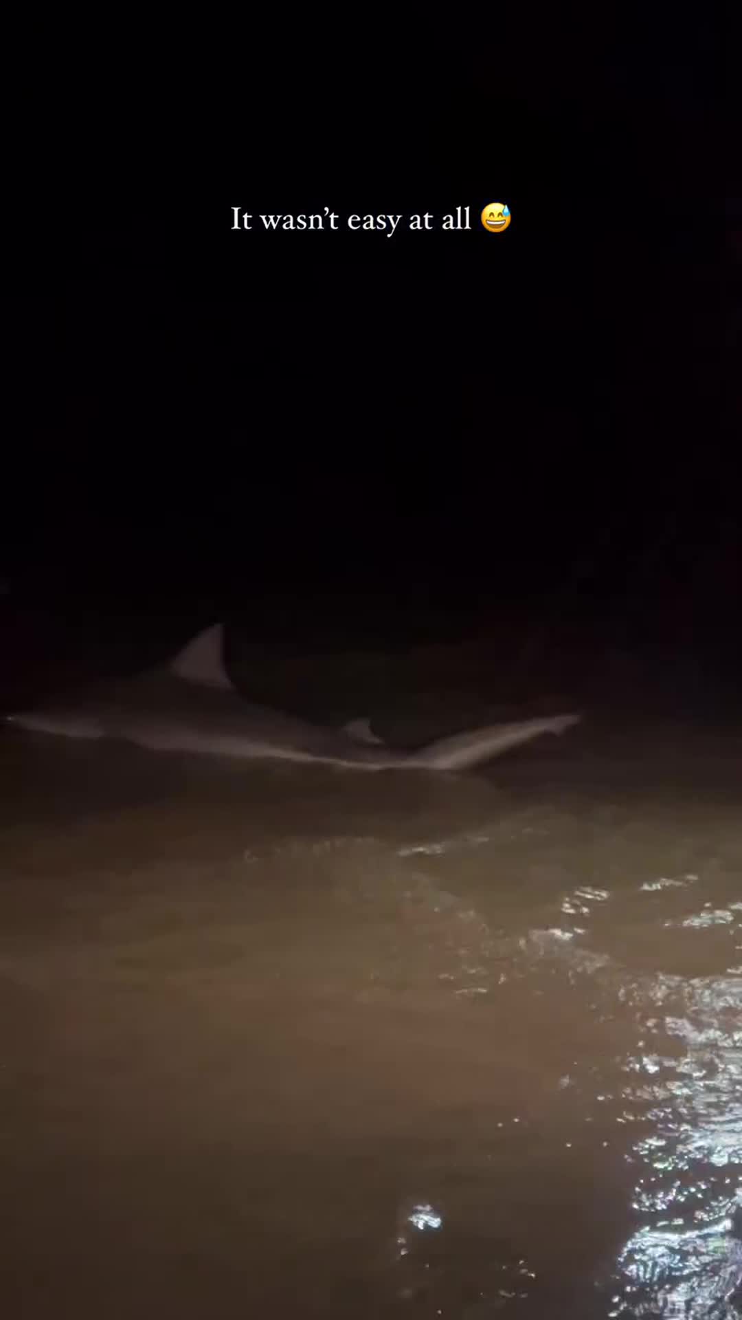 Rescuing a Stranded Shark at Night