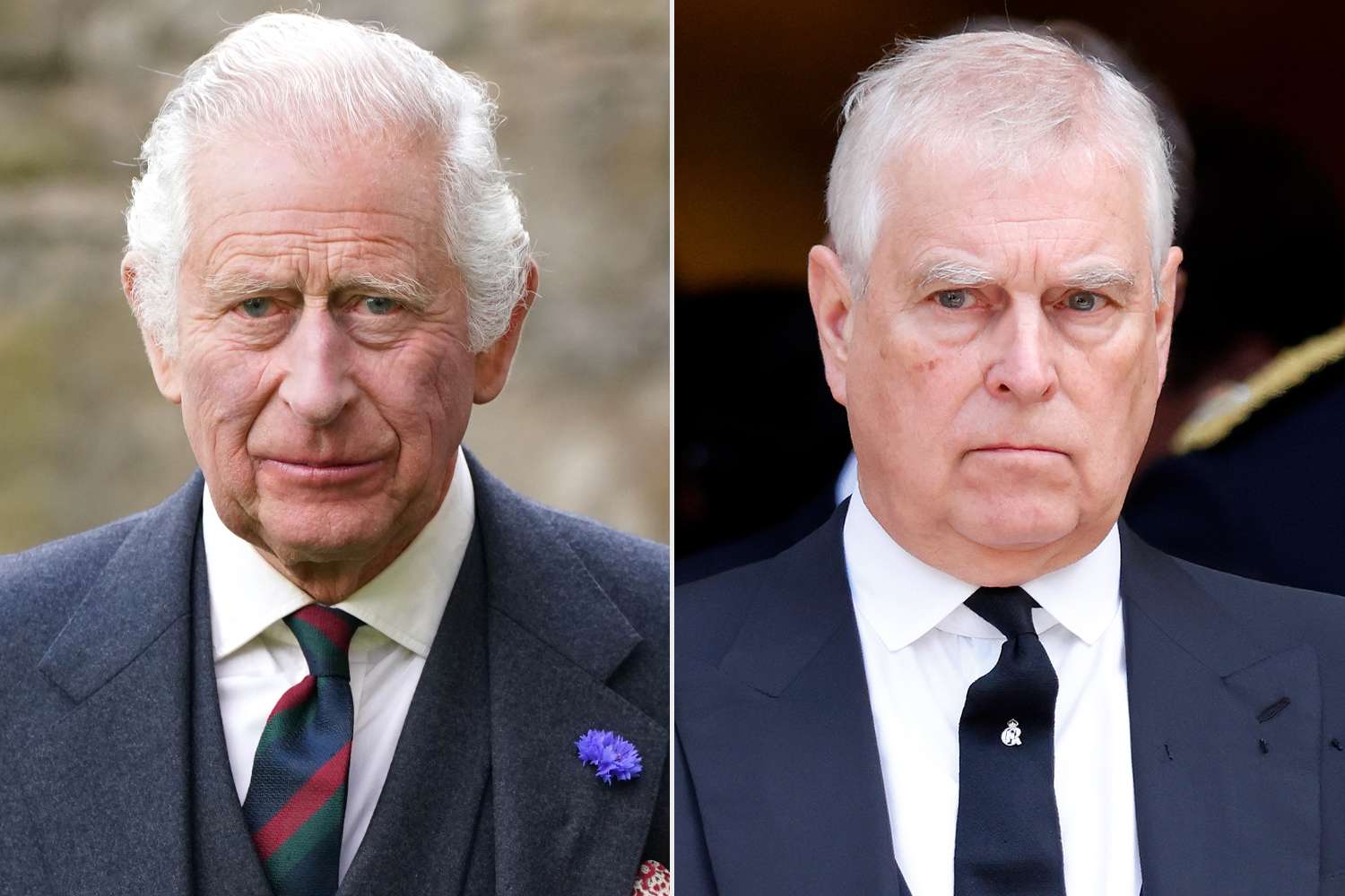 Royal Family Makes a Major Change to Prince Andrew's Page on Official ...