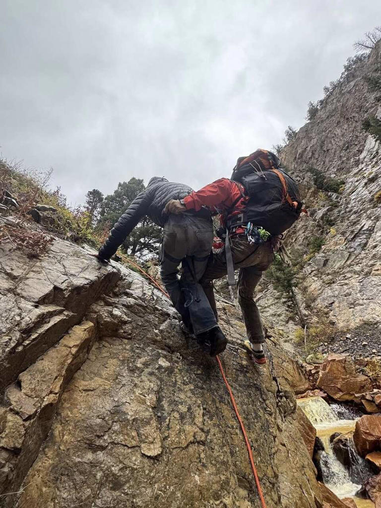 Mirakel: Chauffør reddet med lette skader efter at være faldet 91 meter ...