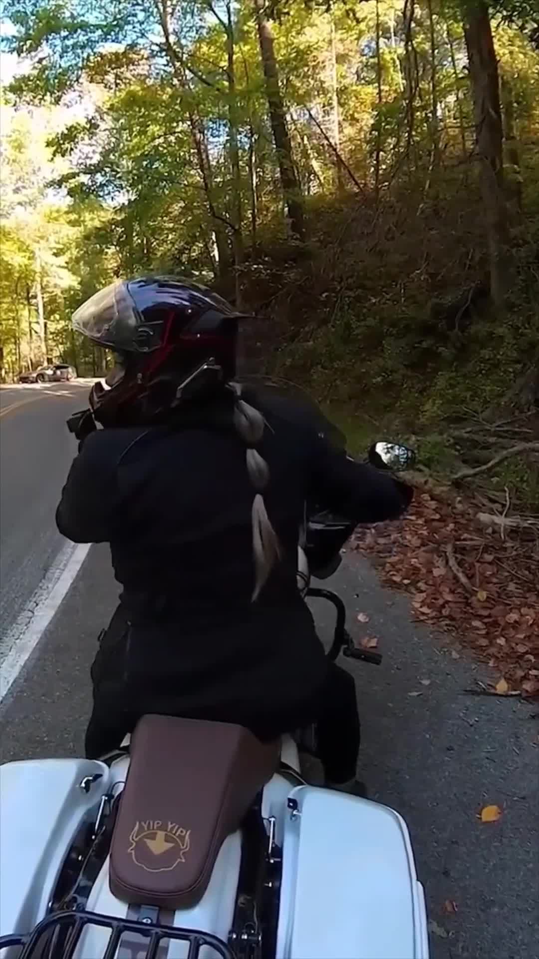 I witnessed a Ferrari crash on my road trip!