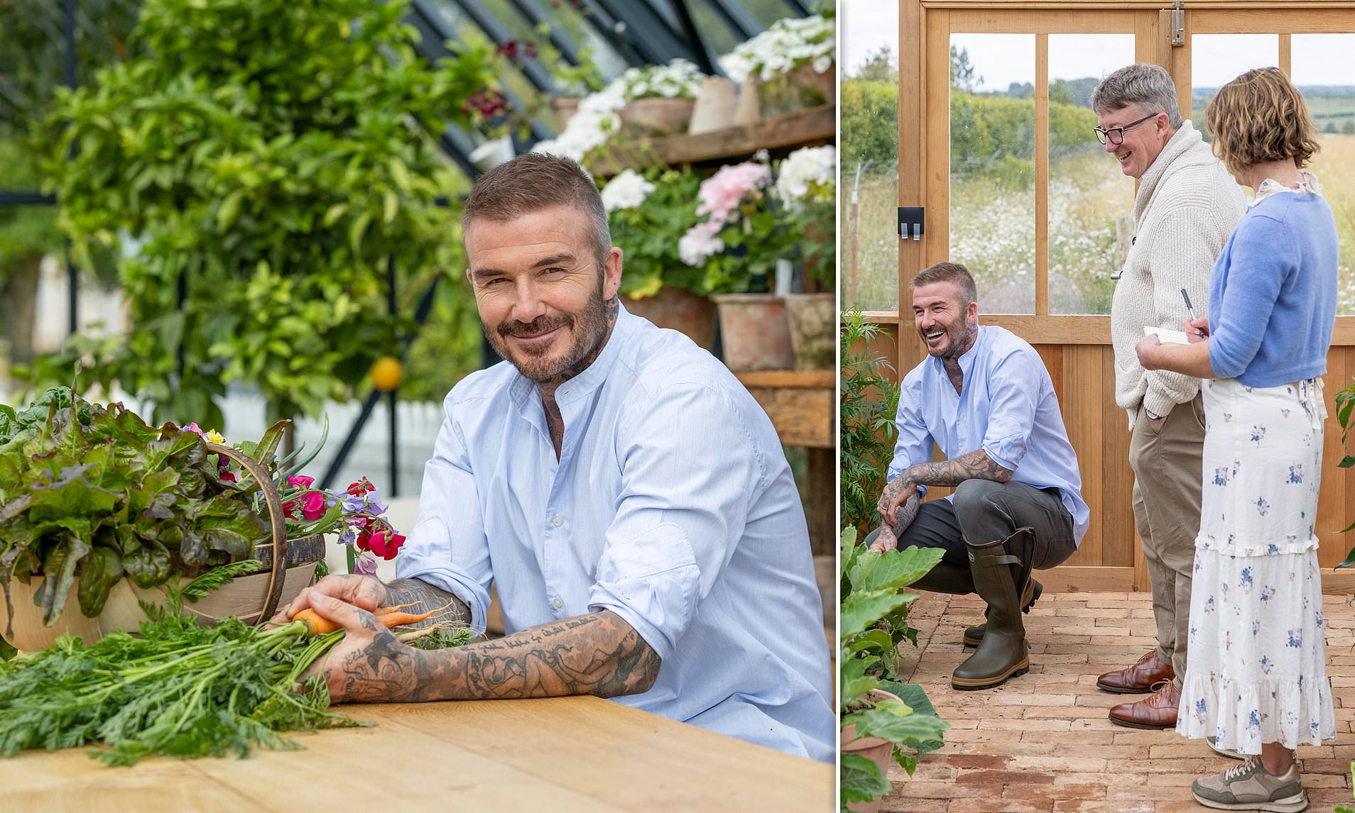 David Beckham finds peace in his Cotswolds garden... it's a far cry ...