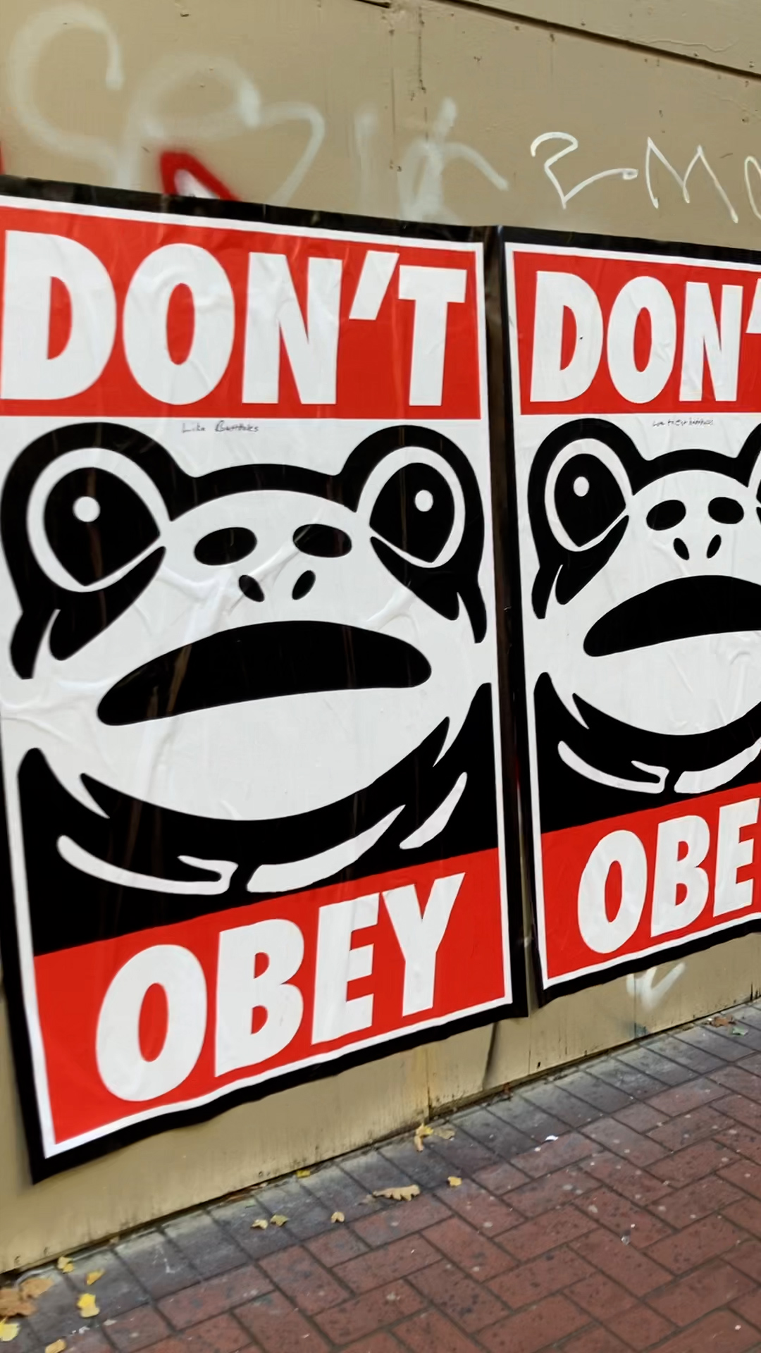 Frog Posters Lead Portland Resistance