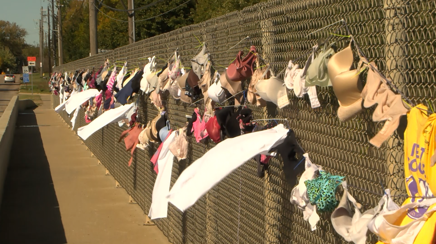 Q102 hosts 4th Annual Bras Across the Bridge event