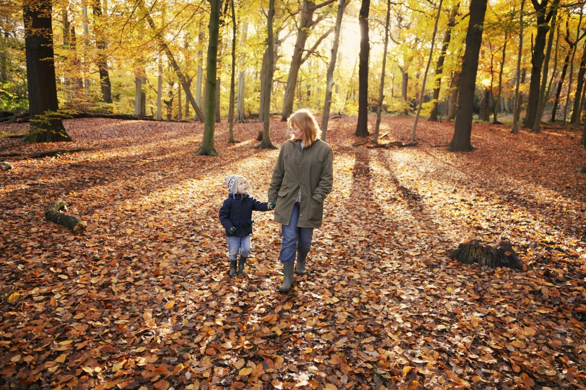 20 autumn micro-adventures, from dawn walks to a campfire evening