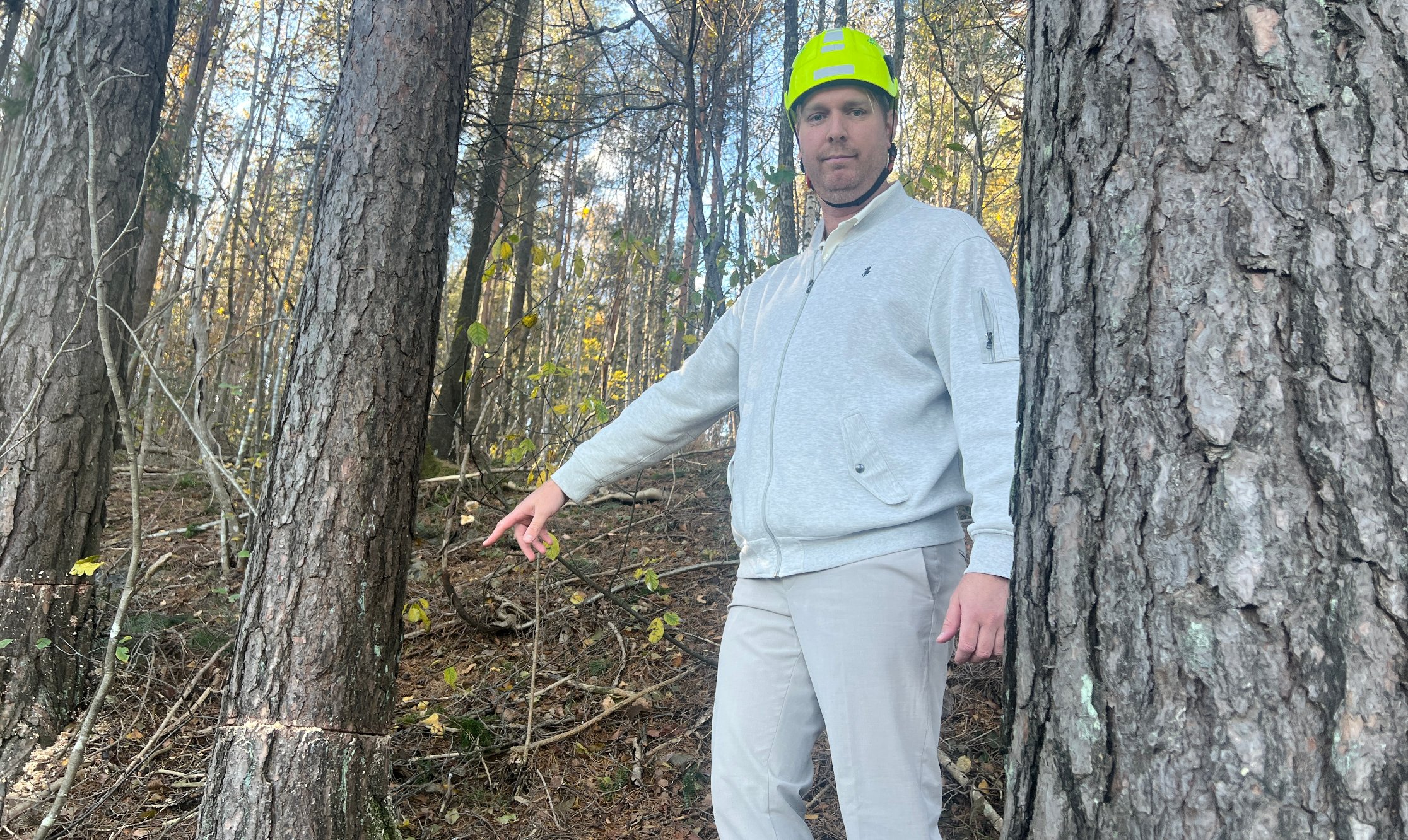 80 trær halvveis sagd over ved barneskole: – Dødsfelle