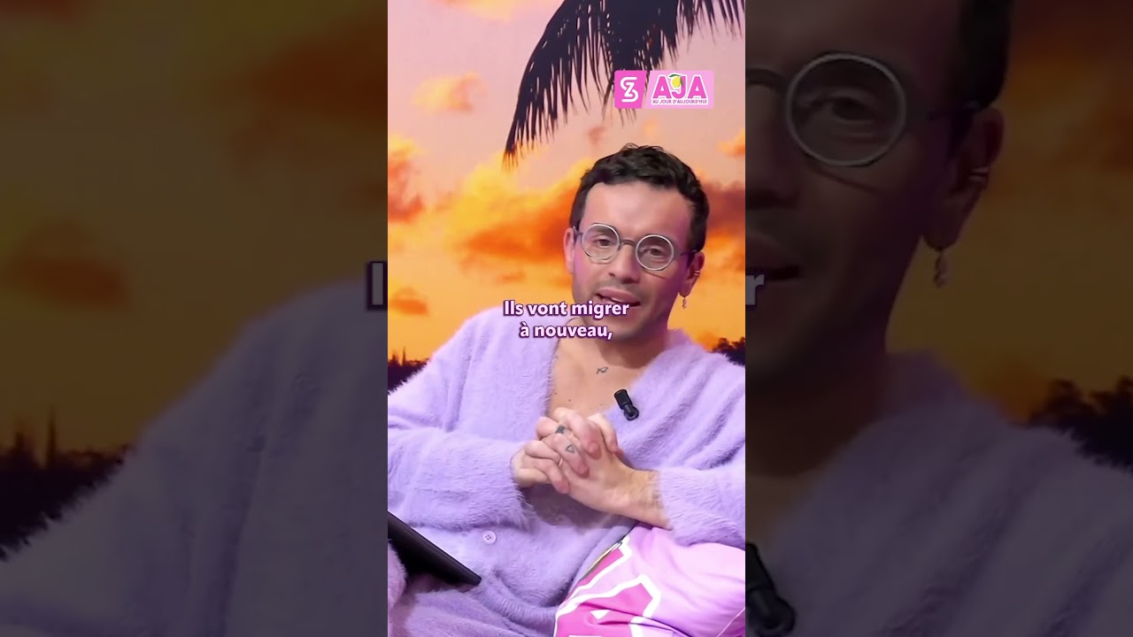 PAUVRE A DUBAÏ / RICHE À BALI : Découvrez notre enquête sur le nouvel ...