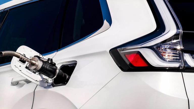 EU backs down on combustion engine ban
