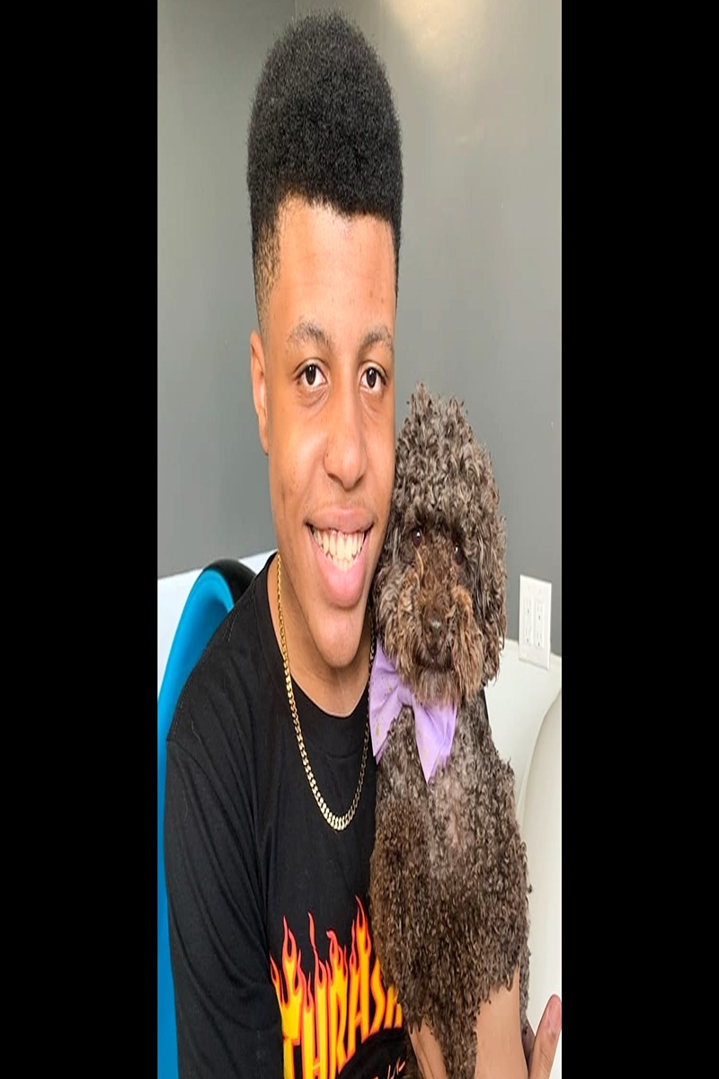 Der junge Schneider Sir Darius Brown hilft Hunden aus dem Tierheim mit ...