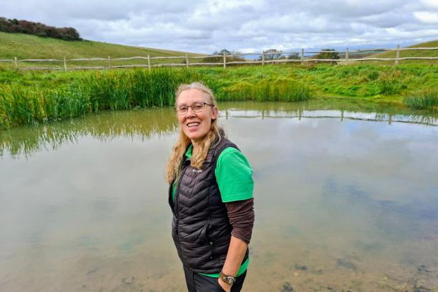 Wildlife boost for South Downs as more dew ponds to be created