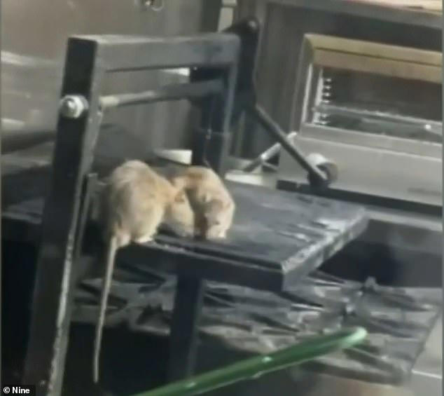 Disturbing sight inside the restaurant of a popular Adelaide pub leaves ...