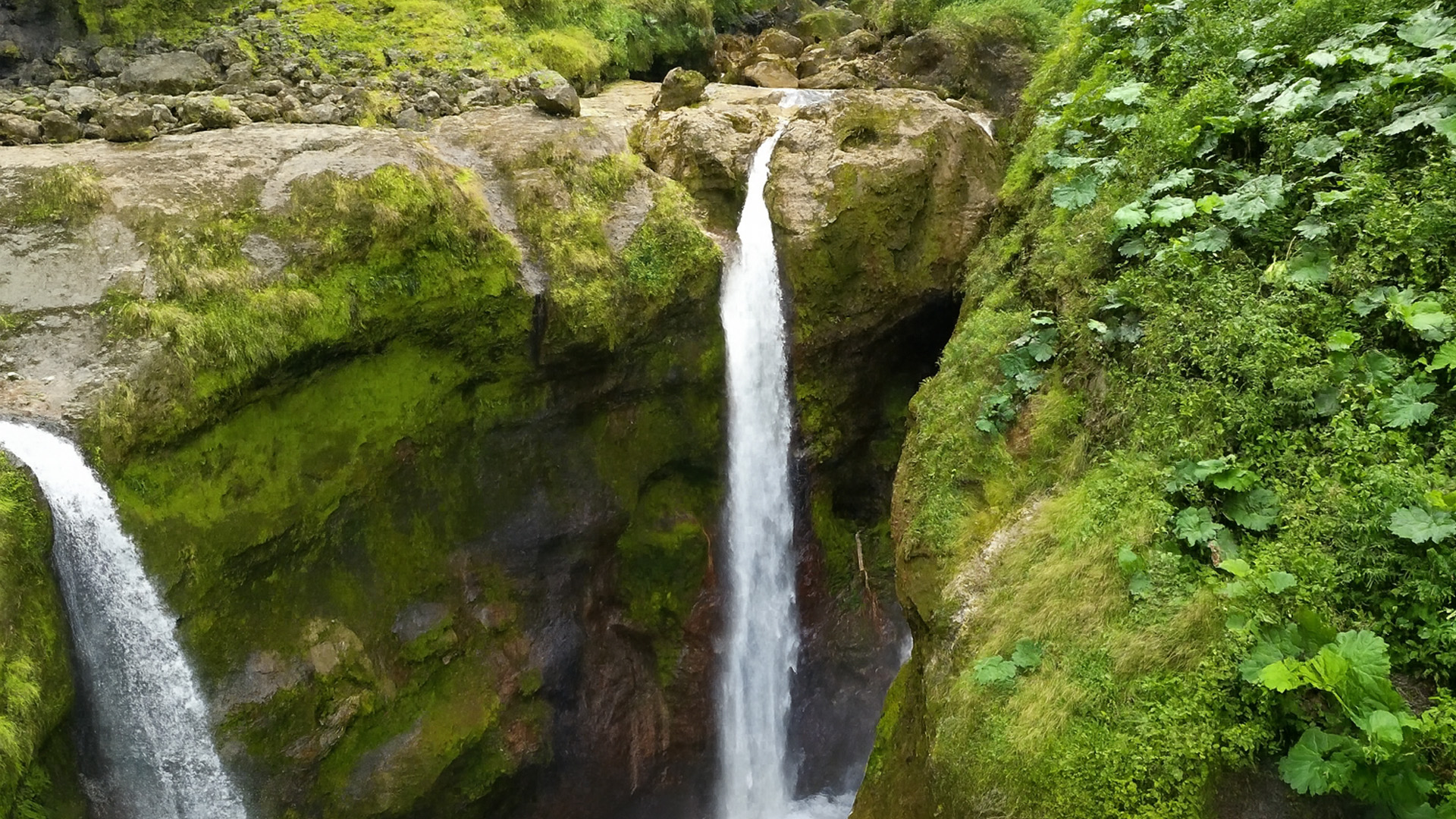 Quebrada Gata Waterfall in the Lush Rainforest of Costa Rica in 4K