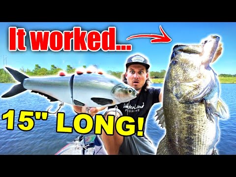 World’s biggest shad swimbait is only bait giant fish eat