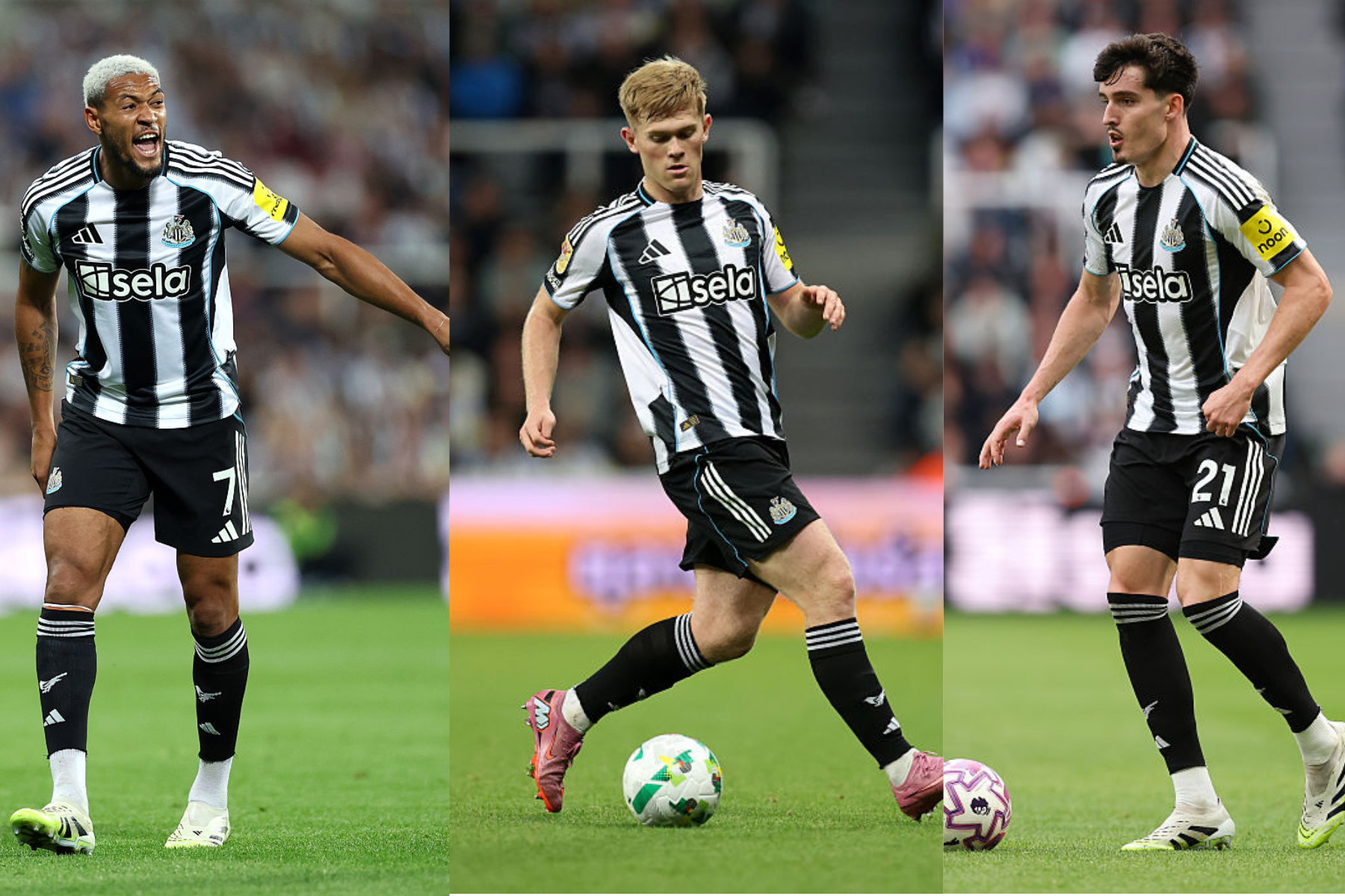 Joelinton, Lewis Hall & Tino Livramento - Newcastle United injury list ...