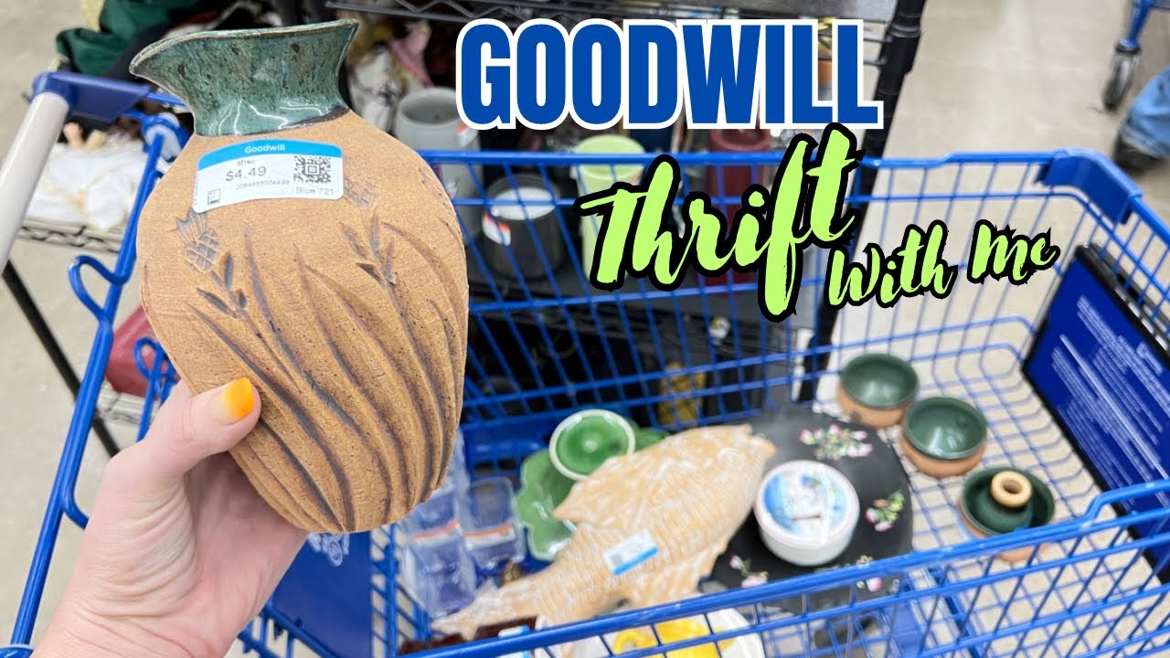 Crap! Wasn’t Quick Enough | Goodwill Thrift with Me