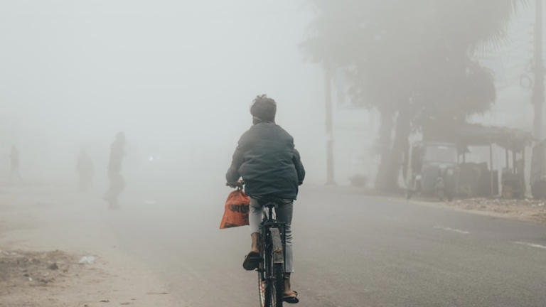 10 Everyday Habits Doing Environmental Harm, Experts Say