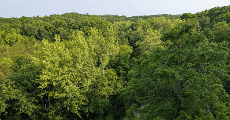 This 6-Mile Missouri Trail Will Tire You Out, but It's Absolutely Worth It
