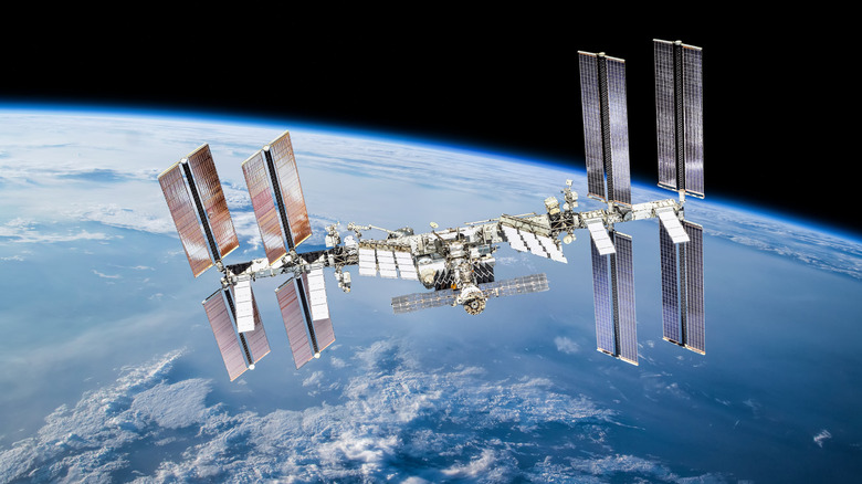 The Staple Food That's Been Served On The ISS Since 1985