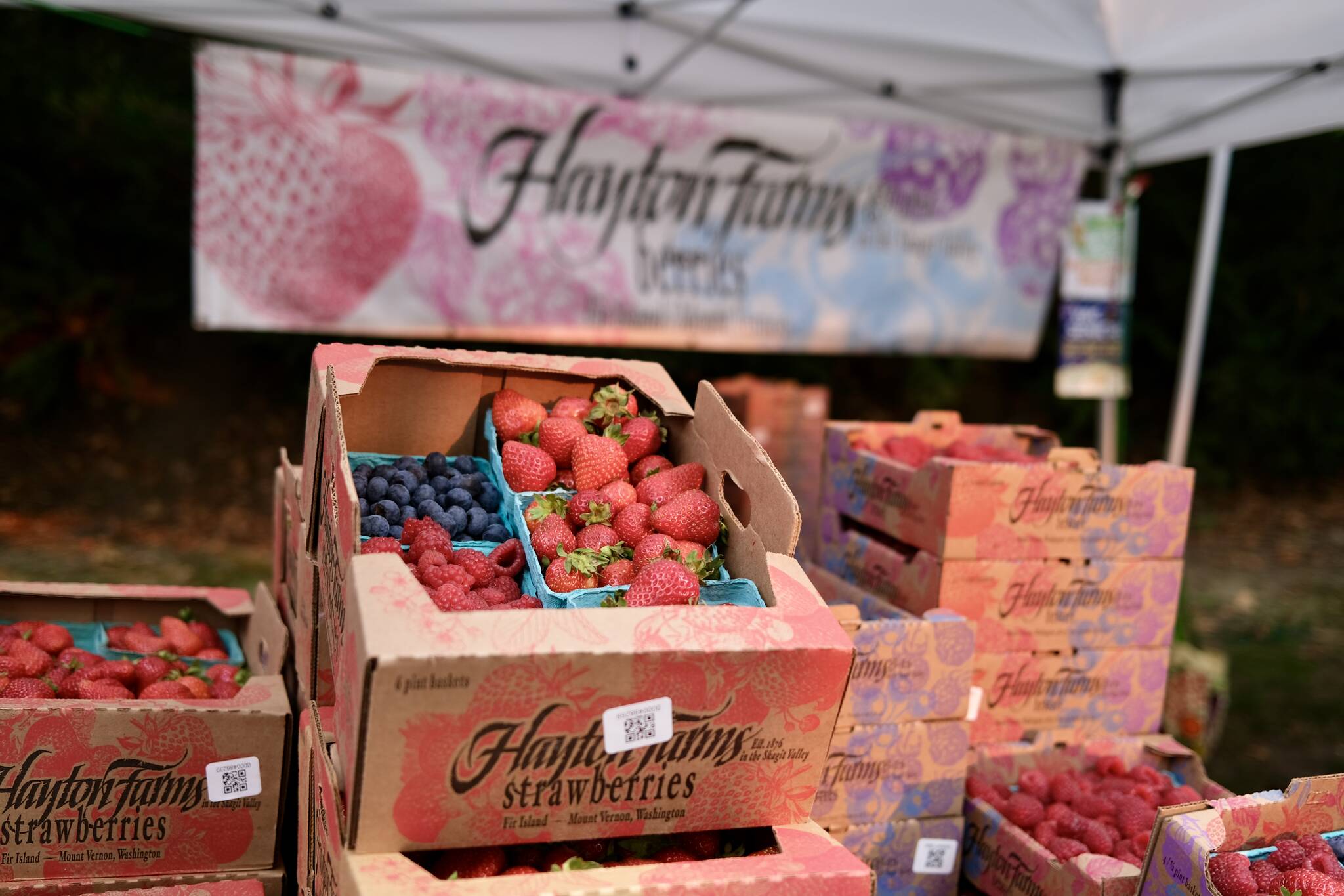 Duvall Farmers Market closes out another record-breaking season