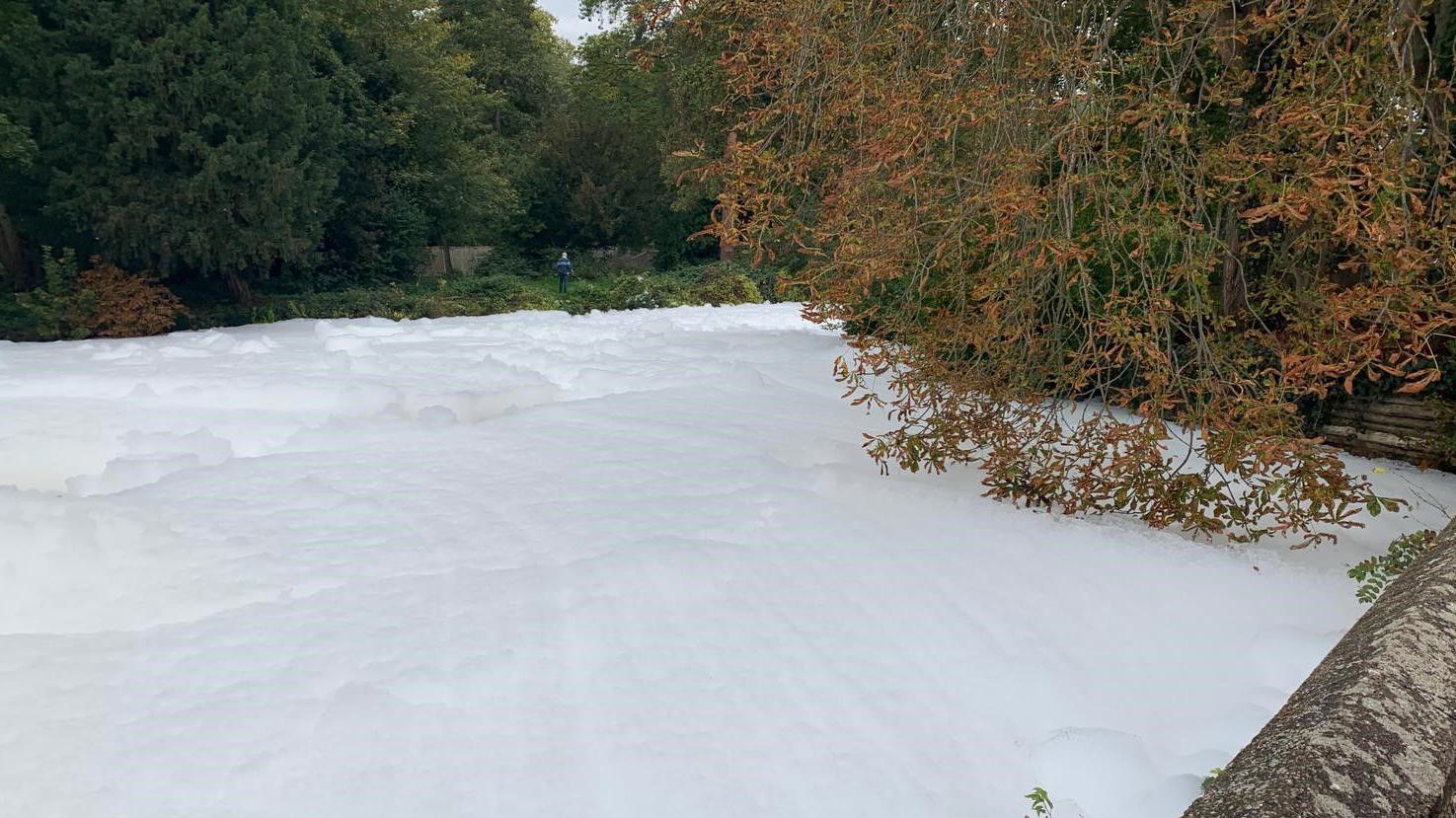 Dead fish found after thick foam fills river