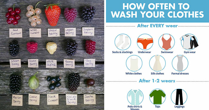 “Data Is Beautiful”: 35 Charts And Guides That Might Change Your ...