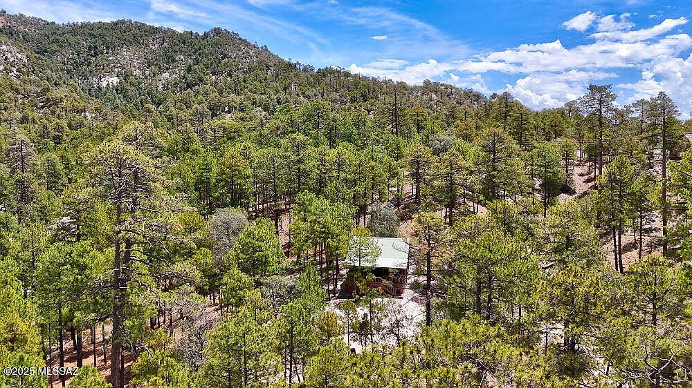 1960 Cabin Retreat in Arizona, Nestled Among Towering Pines: Cozy ...