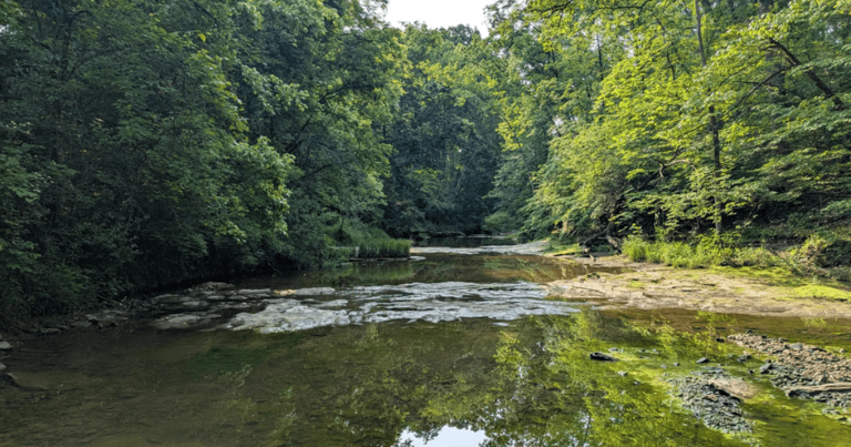 This 6-Mile Missouri Trail Will Tire You Out, but It's Absolutely Worth It