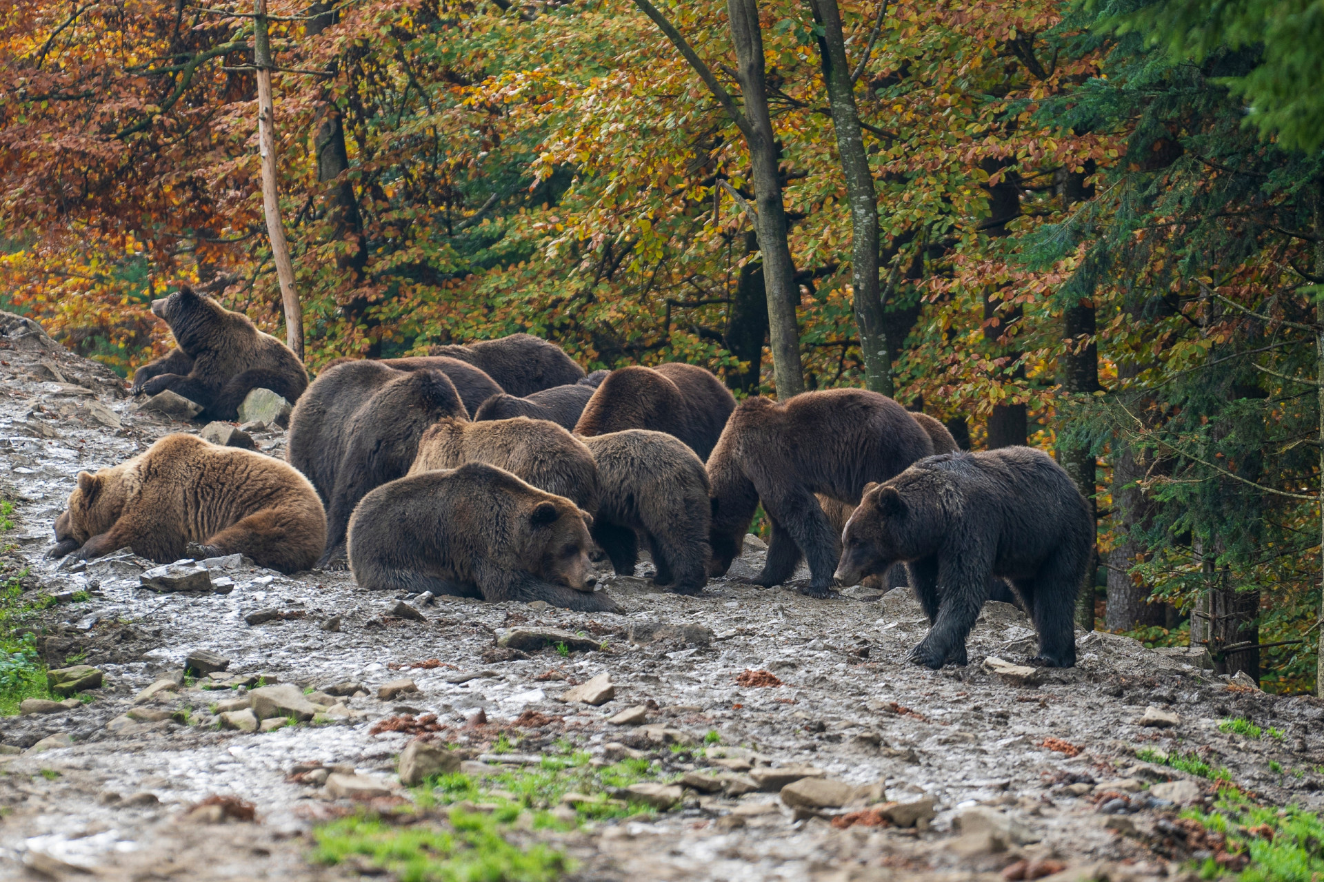 The wildest destinations in Europe