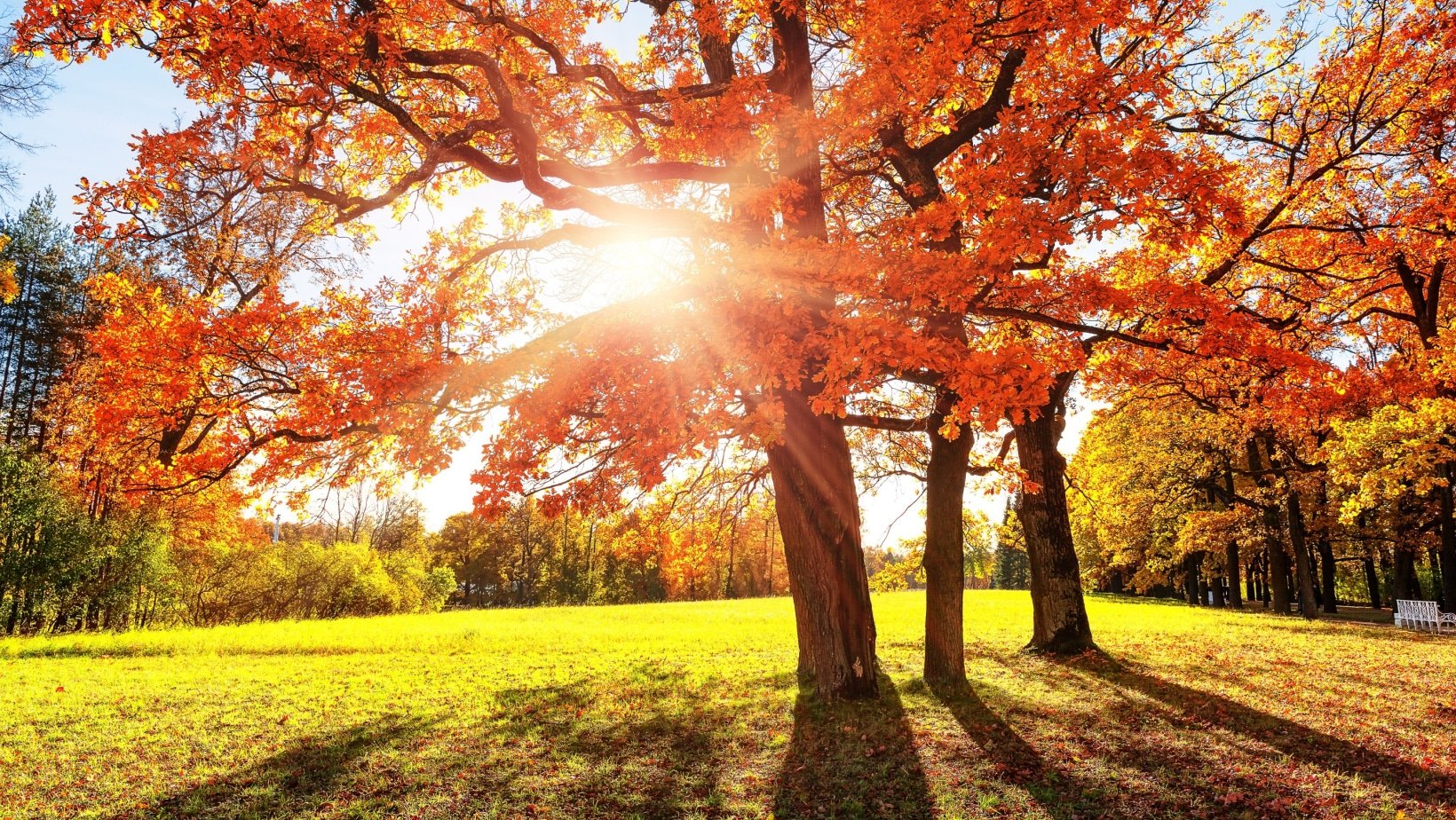 What Daylight Saving Time Really Means and Why It Still Divides Us