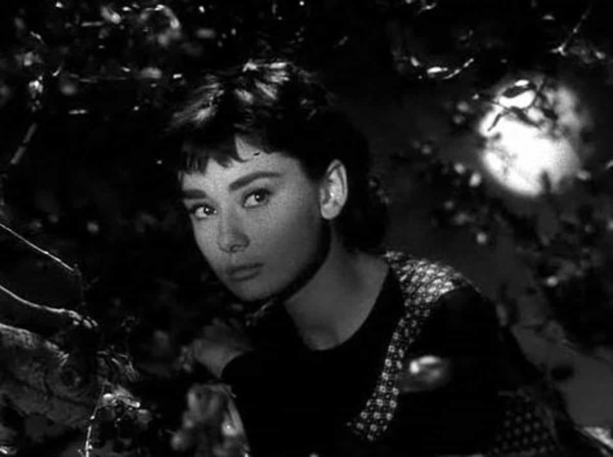 Interesting facts about Audrey Hepburn's life