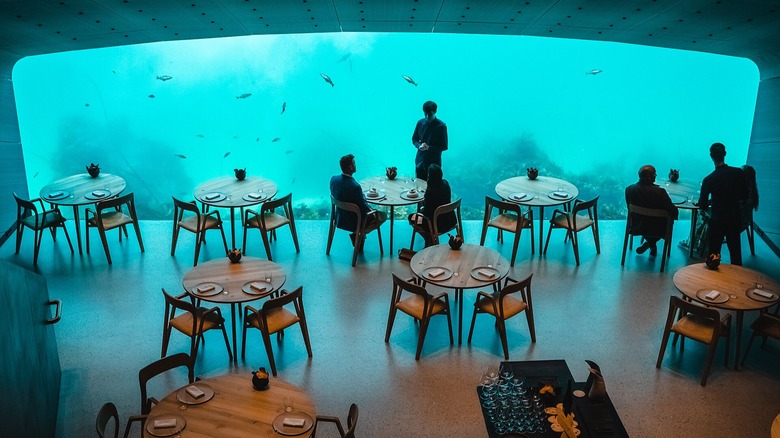You Can Dine Under The Sea At This Michelin Star Restaurant In Norway