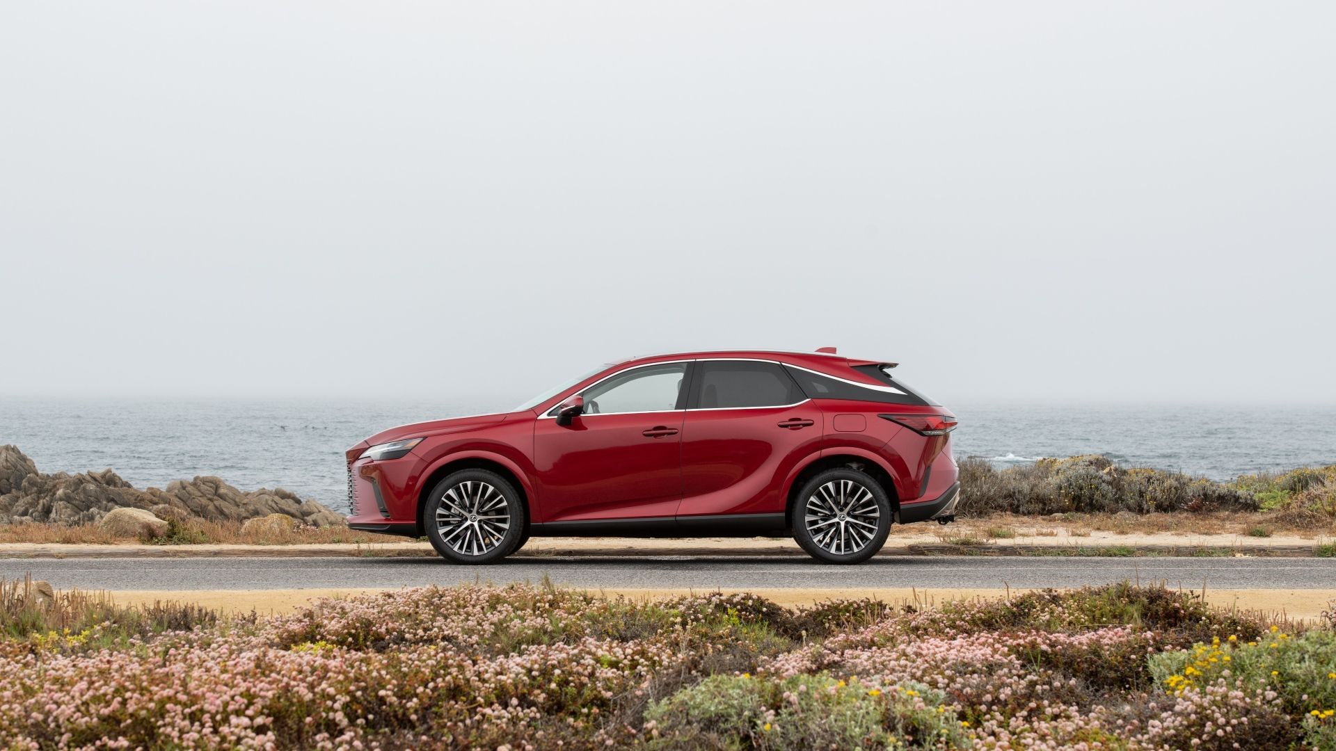 This Bulletproof Hybrid Proves Japanese Cars Still Rule Reliability in 2025