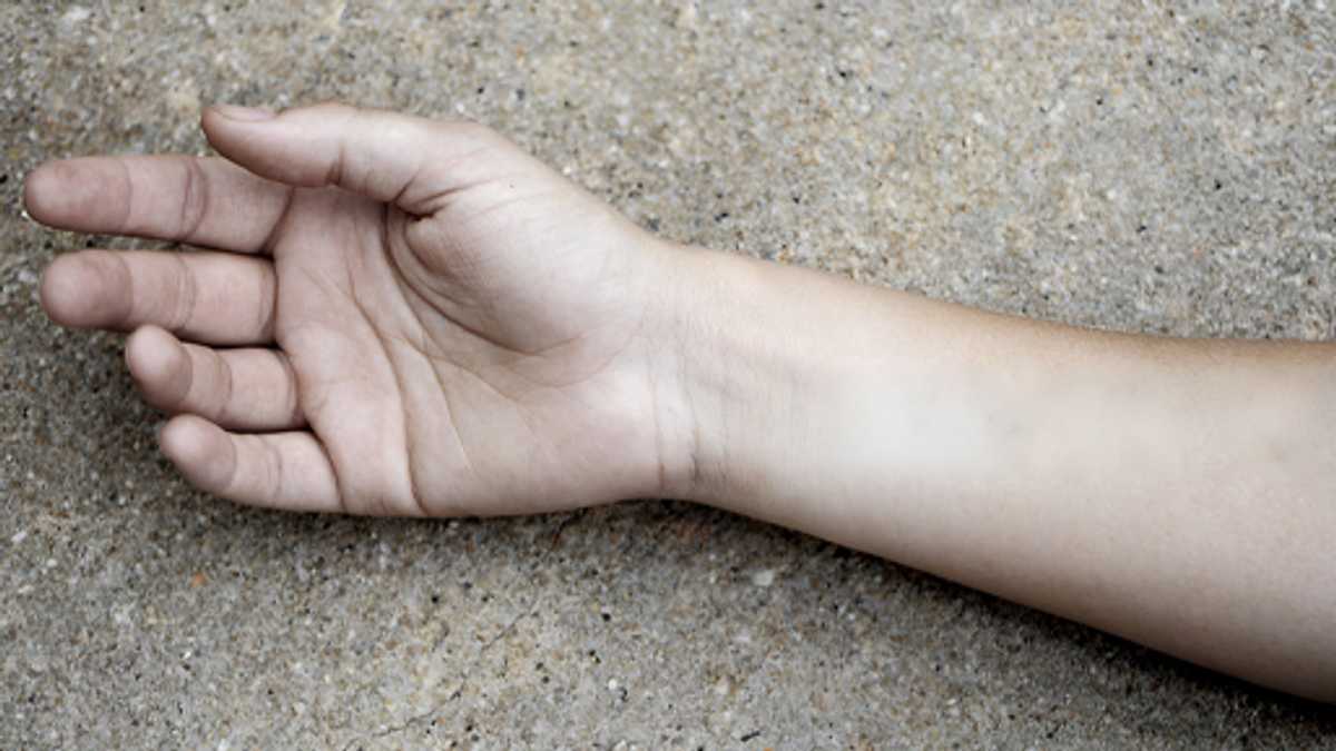 Model allegedly killed and sold for organs after being lured by fake ...