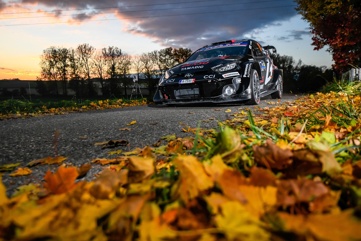Ogier out of WRC Central European Rally after crash with tree