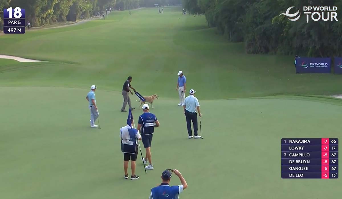 WATCH: Shane Lowry has play interrupted by course invader