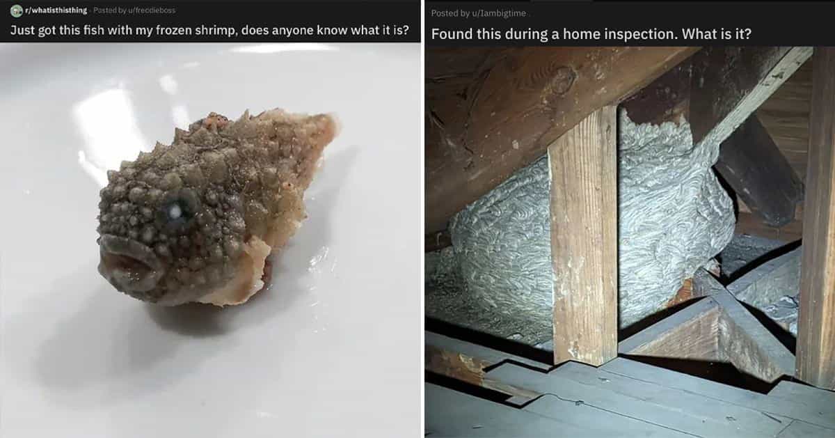 More strange objects that need identifying