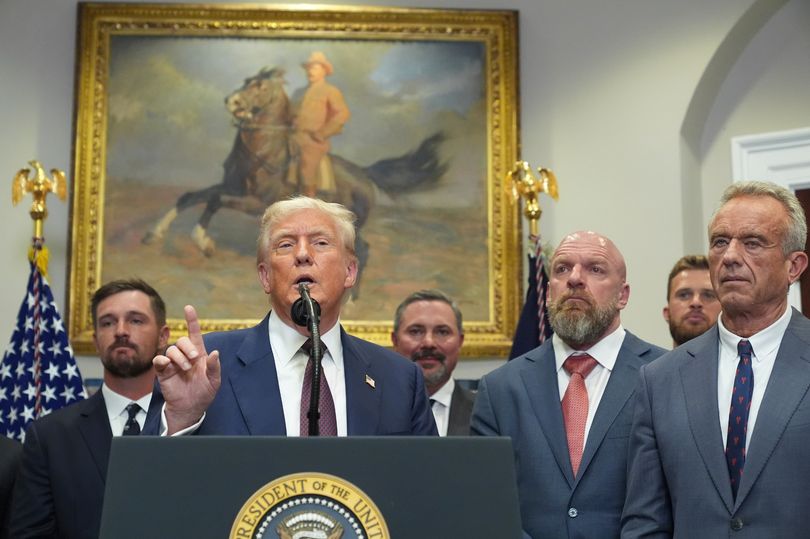 Donald Trump's Epstein files response was 'inspired by WWE interview ...