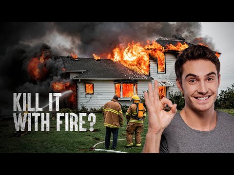 The worst mistakes people make when facing bed bugs